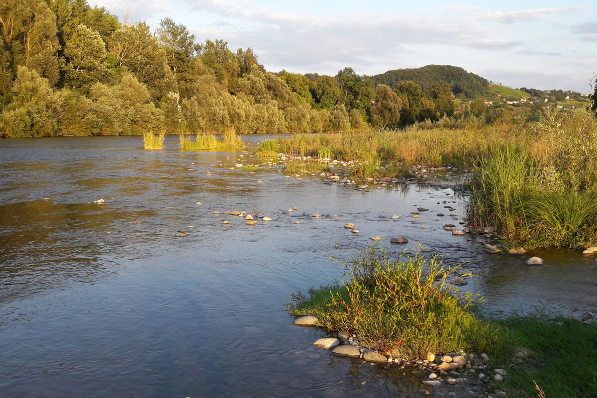 Domov – Drava Natura 2000