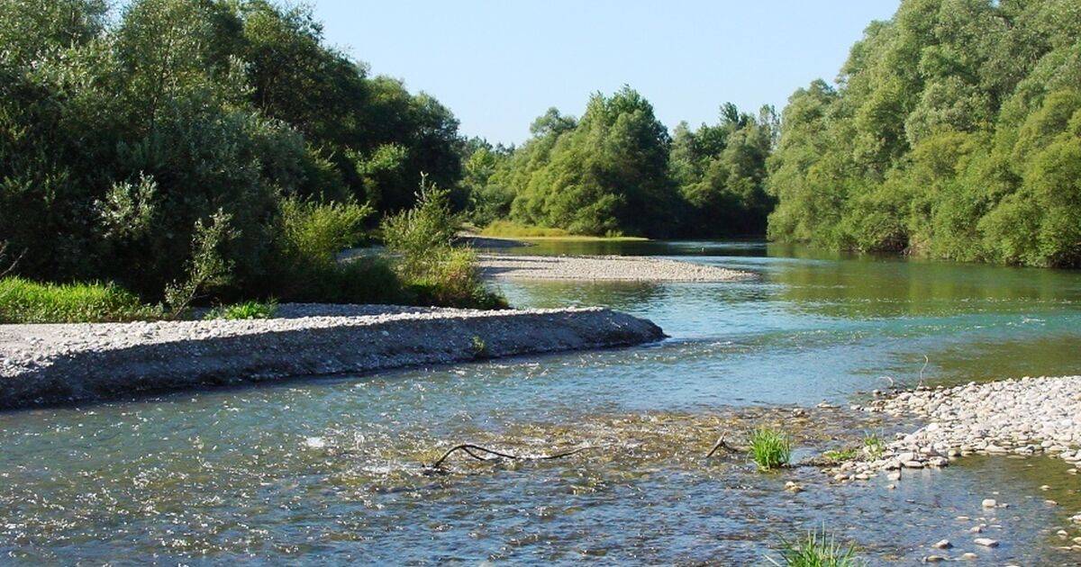 Naravovarstven pomen reke Drave – Drava Natura 2000